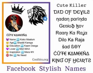 250+ BEST Facebook Stylish Name For Boys 2023 - Cool Bio