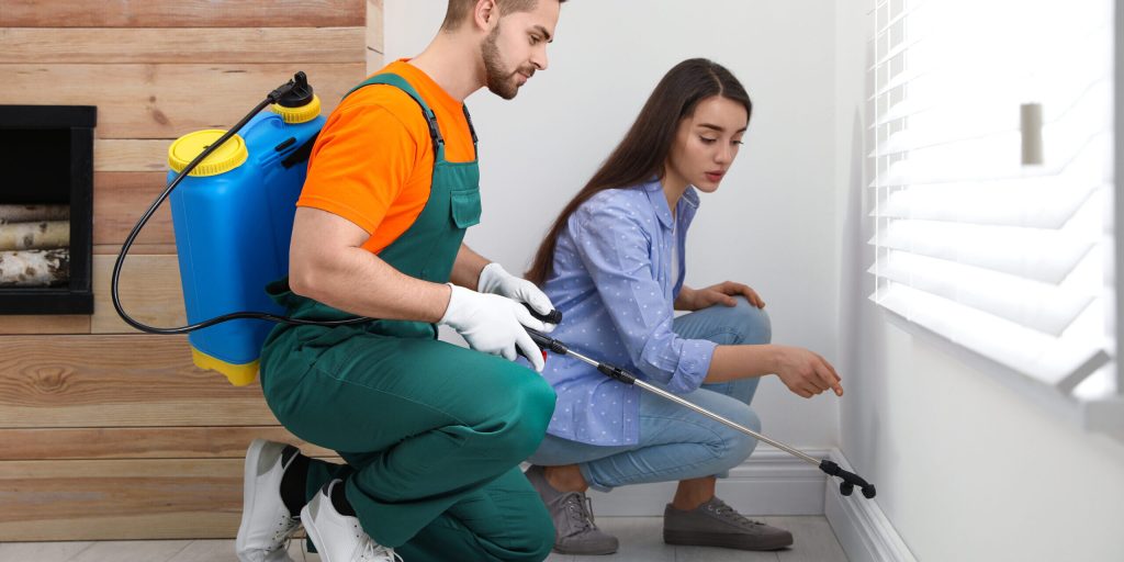 Pest Control Must-Know for New Property Owners - Cool Bio