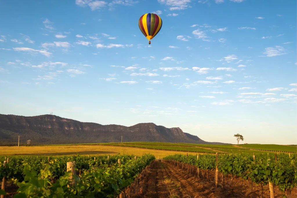 Discovering the Essence of Organic Wine in Hunter Valley - Cool Bio